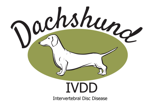 Dachshund IVDD - Type 1 vs. Type 2 IVDD